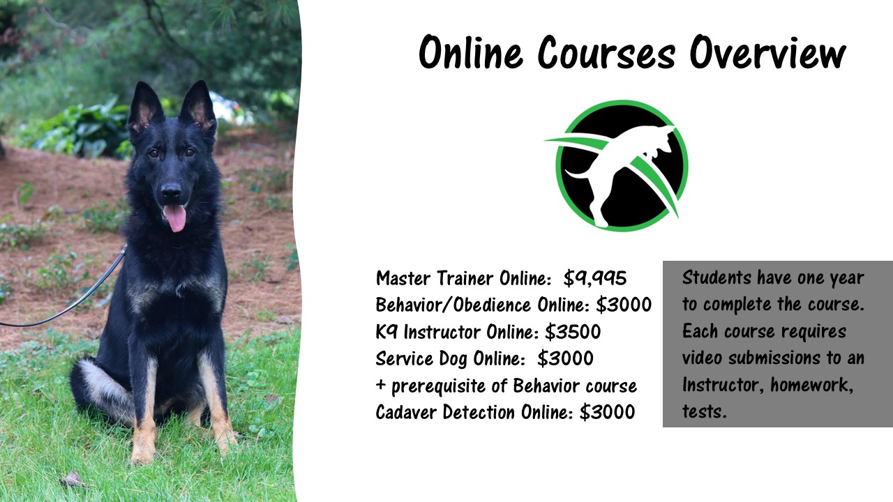 Online Dog Trainer Certification Courses | Dog Trainer College